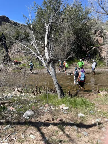 Best River Trails in Tonto Basin | AllTrails