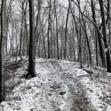 Ice Age Trail: Blue Spring Lake Segment, Wisconsin - 602 Reviews, Map ...