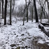 Ice Age Trail: Blue Spring Lake Segment, Wisconsin - 602 Reviews, Map ...