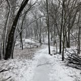 Ice Age Trail: Blue Spring Lake Segment, Wisconsin - 602 Reviews, Map ...