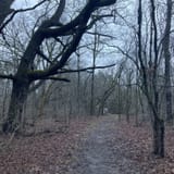 Ice Age Trail: Blue Spring Lake Segment, Wisconsin - 512 Reviews, Map ...