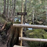 Upper Big Creek Loop, Washington - 3,041 Reviews, Map | AllTrails