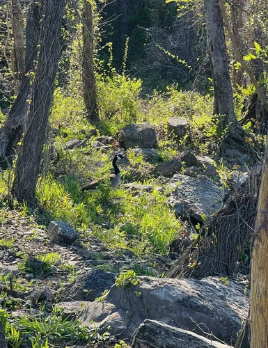 Best Hikes and Trails in Muscle Shoals | AllTrails
