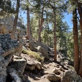 Independence Mountain Trail, Colorado - 4,887 Reviews, Map | AllTrails