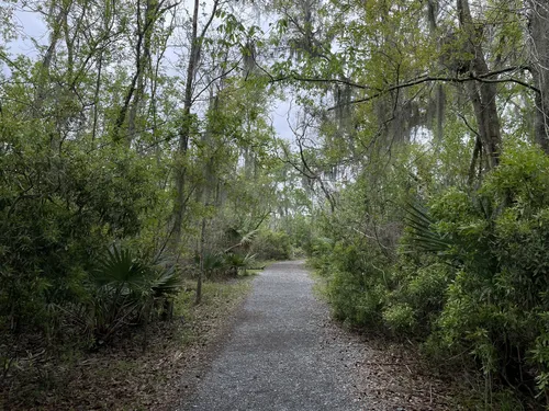 Best Forest Trails in Jean Lafitte National Historical Park and ...