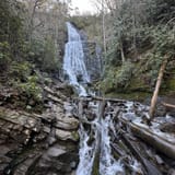 Mingo Falls Trail, North Carolina - 1,695 Reviews, Map | AllTrails
