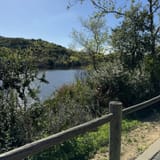 Discovery Lake via the Gratitude Trail, California - 1,037 Reviews, Map ...