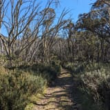 Mount Buller to Mount Stirling via Howqua Gap, Victoria, Australia - 74 ...