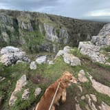 Cheddar Gorge and Batts Coombe Quarry Circular: 2.434 foto - Somerset ...