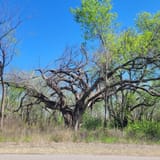 Lake Hefner Trail, Oklahoma - 1,642 Reviews, Map | AllTrails