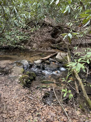 Best Moderate Trails in Blue Ridge Wildlife Management Area | AllTrails