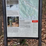Riprap Trail , Virginia - 1,646 Reviews, Map | AllTrails