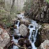Riprap Trail , Virginia - 1,646 Reviews, Map | AllTrails