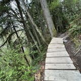 Japanese Gulch Loop Trail, Washington - 1,239 Reviews, Map | AllTrails