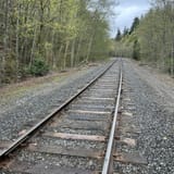 Japanese Gulch Loop Trail, Washington - 1,239 Reviews, Map | AllTrails