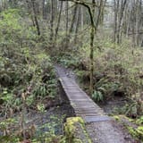 Japanese Gulch Loop Trail, Washington - 1,239 Reviews, Map | AllTrails