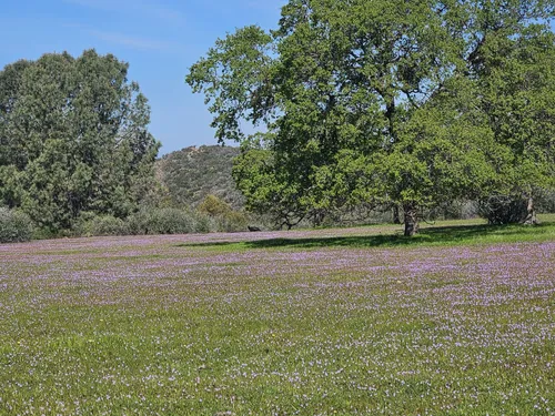 Best Hikes and Trails in Campo Seco | AllTrails