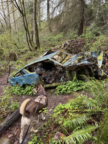 Best Kid Friendly Trails in Bothell | AllTrails