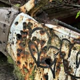 Japanese Gulch Loop Trail, Washington - 1,239 Reviews, Map | AllTrails