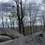 Table Rock Trail, South Carolina - 3,985 Reviews, Map | AllTrails