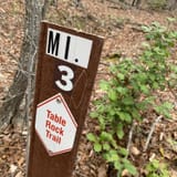Table Rock Trail, South Carolina - 3,985 Reviews, Map | AllTrails