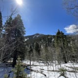 Marion Mine Route to Cisneros Trail, Colorado - 452 Reviews, Map ...