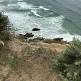 Gray Whale Cove Trail, California - 930 Reviews, Map | AllTrails