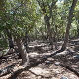 Madera Canyon Nature Trail, Arizona - 1,183 Reviews, Map | AllTrails