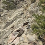 Walker Ranch Loop, Colorado - 4,473 Reviews, Map | AllTrails