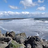 Damon Point State Park Trail, Washington - 513 Reviews, Map | AllTrails