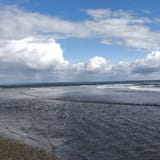 Damon Point State Park Trail, Washington - 513 Reviews, Map | AllTrails