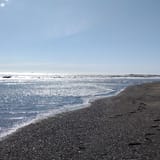 Damon Point State Park Trail, Washington - 513 Reviews, Map | AllTrails