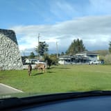 Damon Point State Park Trail, Washington - 513 Reviews, Map | AllTrails