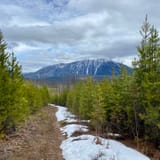 Apgar Lookout, Montana - 1,651 Reviews, Map | AllTrails