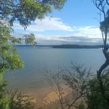Coochie Mudlo Island Walk, Queensland, Australia - 89 Reviews, Map ...