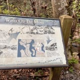 Mercer Slough Nature Park, Washington - 1,047 Reviews, Map | AllTrails