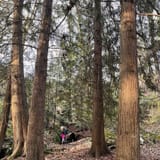 Mercer Slough Nature Park, Washington - 1,047 Reviews, Map | AllTrails