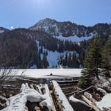 Annette Lake Trail, Washington - 5,601 Reviews, Map | AllTrails