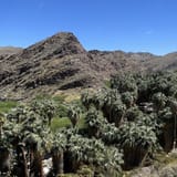 Victor Loop, California - 1,522 Reviews, Map | AllTrails