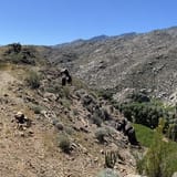 Victor Loop, California - 1,473 Reviews, Map | AllTrails