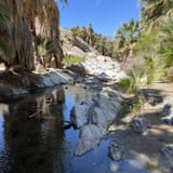 Victor Loop, California - 1,472 Reviews, Map | AllTrails