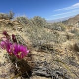 Victor Loop, California - 1,473 Reviews, Map | AllTrails