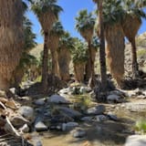 Victor Loop, California - 1,472 Reviews, Map | AllTrails