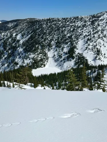 Best Walking Trails in Mullan | AllTrails