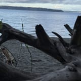 Seahurst Park Loop Trail, Washington - 897 Reviews, Map | AllTrails