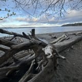 Seahurst Park Loop Trail, Washington - 897 Reviews, Map | AllTrails