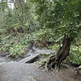 Seahurst Park Loop Trail, Washington - 897 Reviews, Map | AllTrails