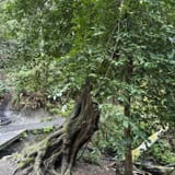 Seahurst Park Loop Trail, Washington - 897 Reviews, Map | AllTrails