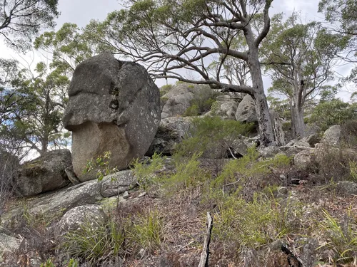 Best Hikes and Trails in Boobyalla | AllTrails