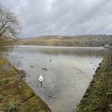 Linacre Reservoirs Circular, Derbyshire, England - 310 Reviews, Map ...
